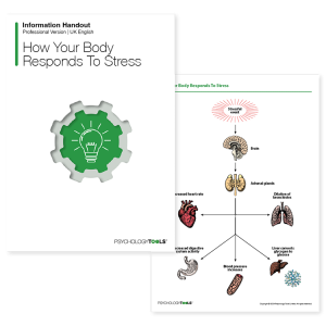 How Your Body Responds To Stress | Psychology Tools